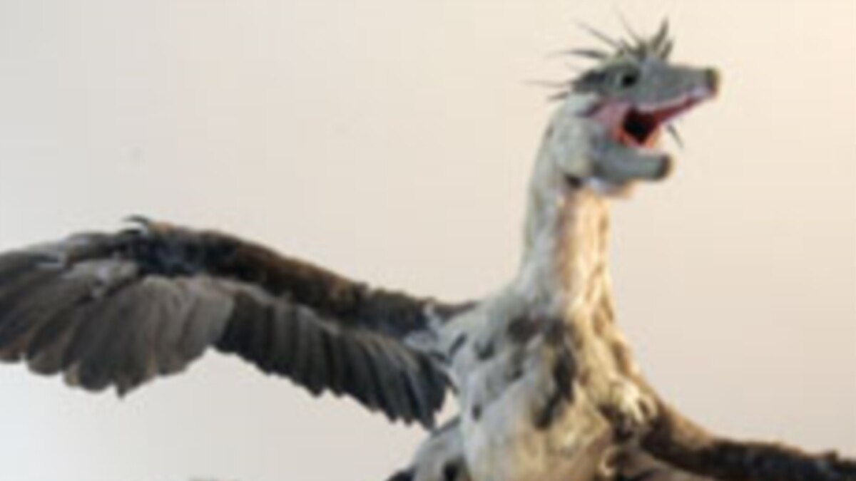 Earliest Fossil of Iridescent Dinosaur Feathers Reveals New Behavior Clues