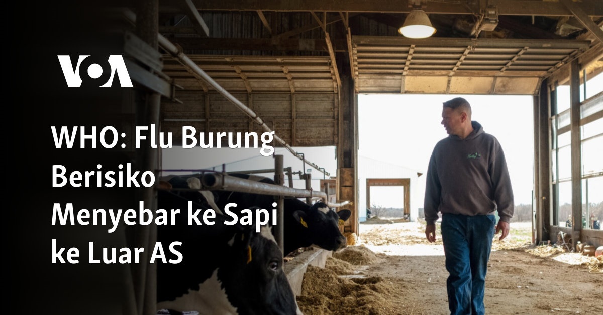 WHO: Flu Burung Berisiko Menyebar ke Sapi ke Luar AS