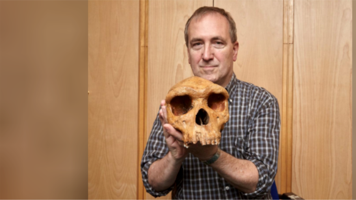 New Age Estimate for Early Human Skull Produces Surprising Discovery