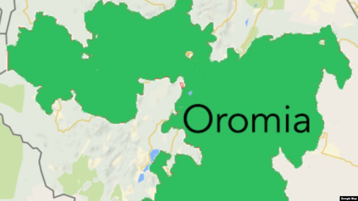 Shaampiyoonaan Ispoortii Aadaa Oromiyaa Bara 2019 Godina Jimmaati