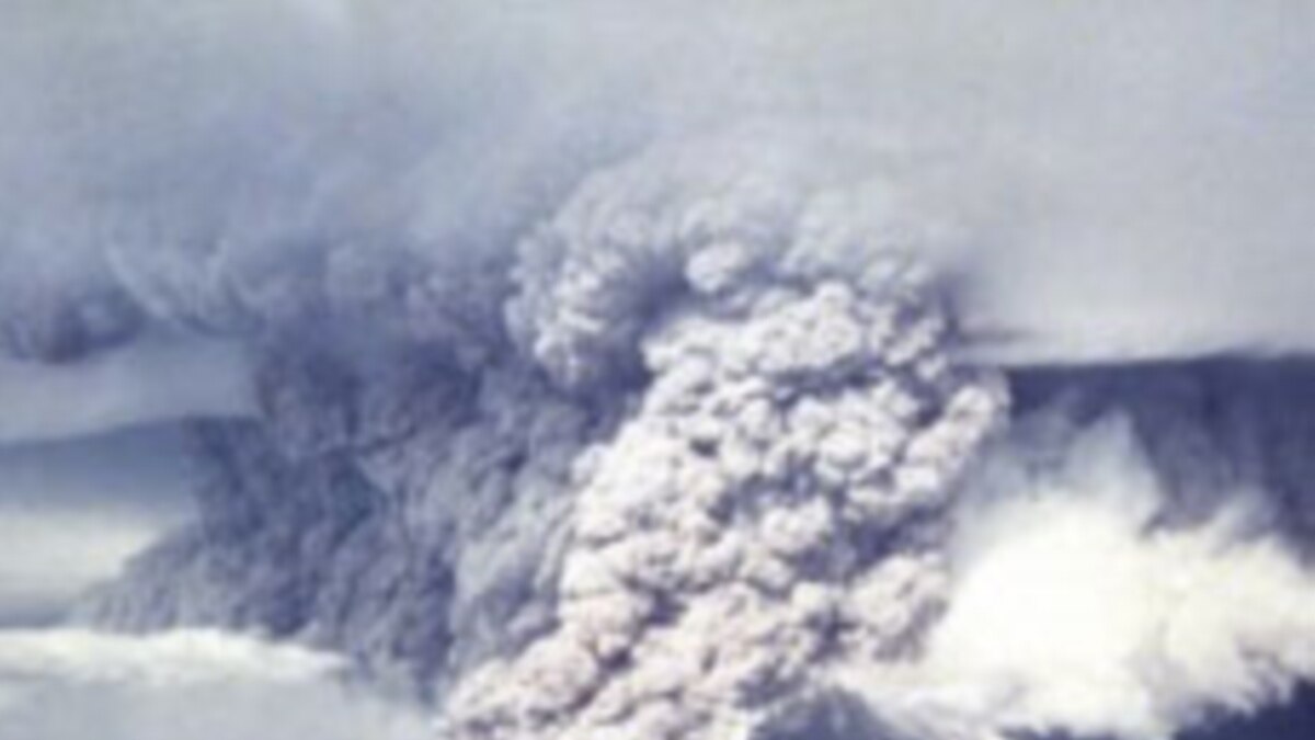 30 Years After Deadly Eruption, Mount St. Helens Flourishes