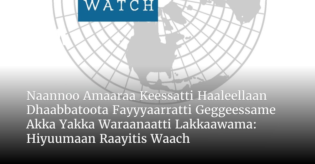 Naannoo Amaaraa Keessatti Haaleellaan Dhaabbatoota Fayyyaarratti ...