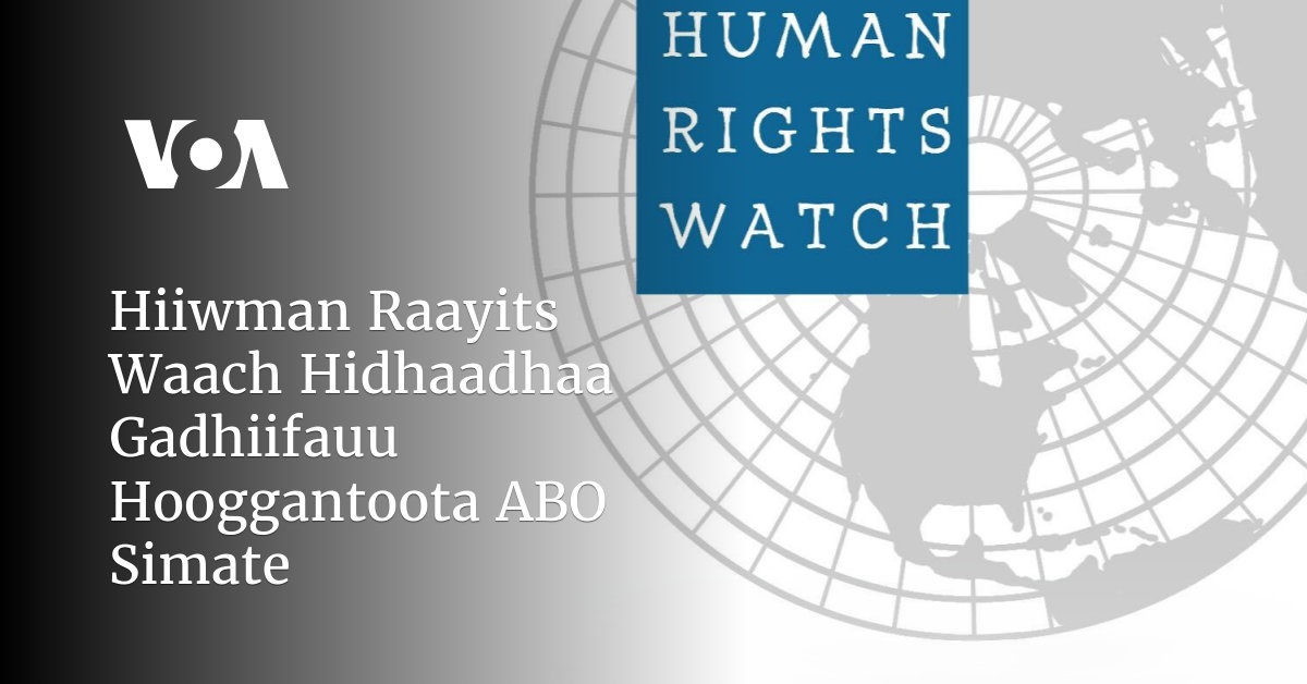 Hiiwman Raayits Waach Hidhaadhaa Gadhiifauu Hooggantoota ABO Simate