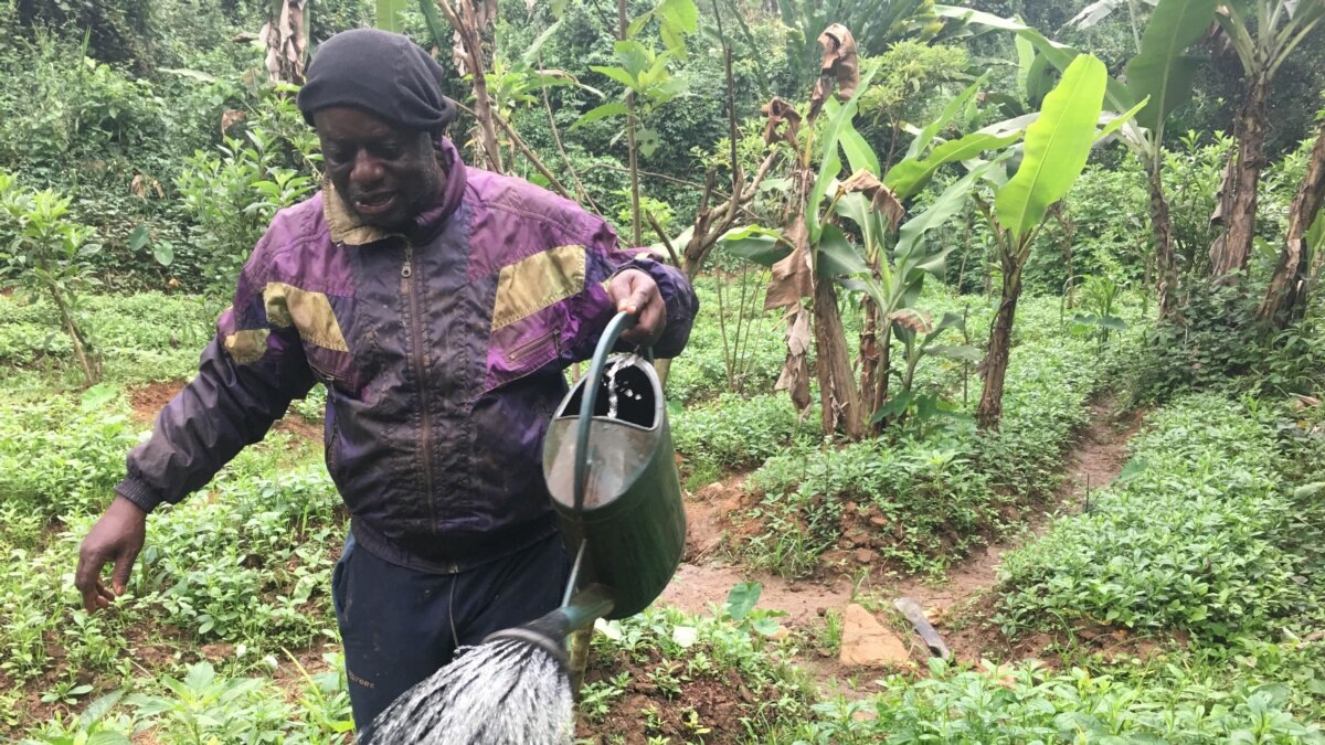 Reportage d'Emmanuel Jules Ntap sur les déplacés internes au Cameroun