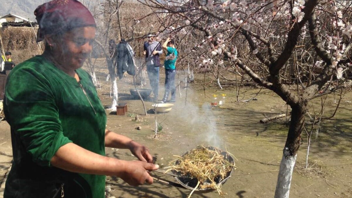 Bahoriy udumlar: darveshona