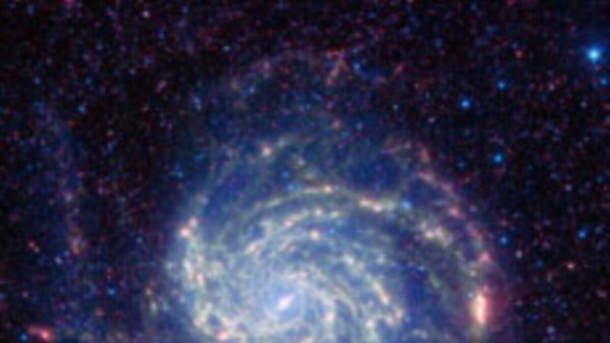 A Star Explodes, and Astronomers Make a Quick Discovery