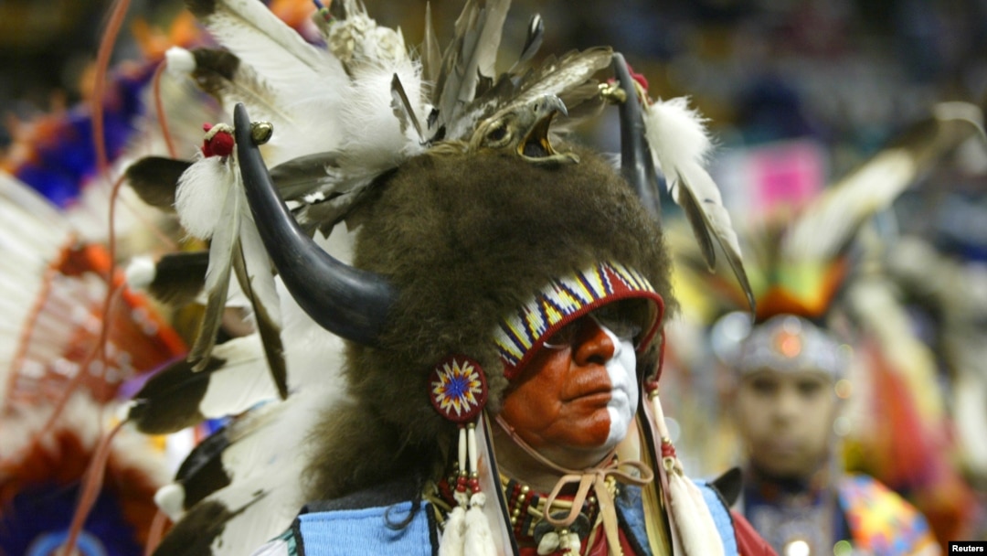 Native American Buffalo For