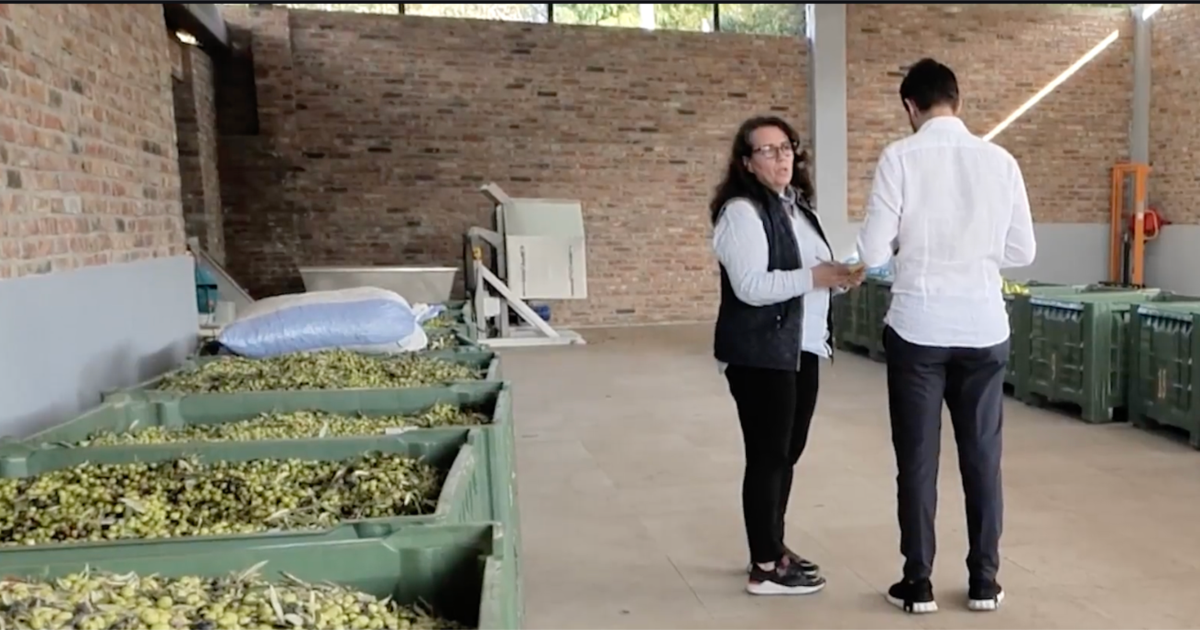 Shqipëri, Silvana Subashi sipërmarrësja që ndërton të ardhmen mes ullinjve