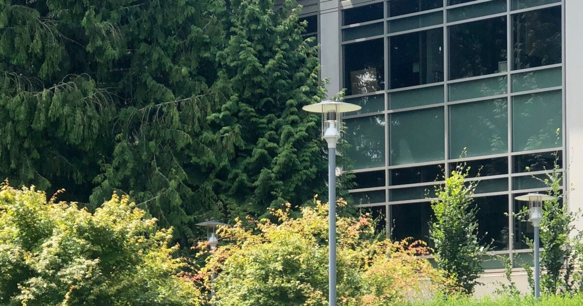 Microsoft Exec Says Targeting of Americans' Records 'Routine'