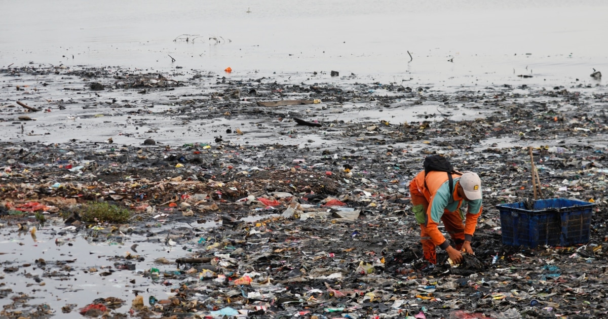 Australian researchers plan new generation of biodegradable plastic