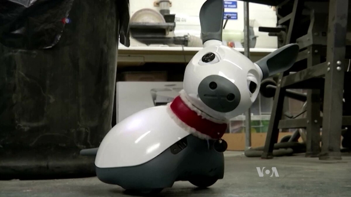 Robotic Pet Could Provide Comfort for the Disabled, Elderly
