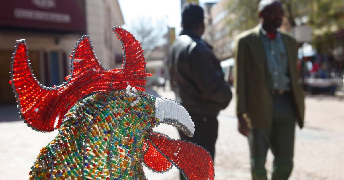 South Africa Theater Puts on a Show for the World With Online Season