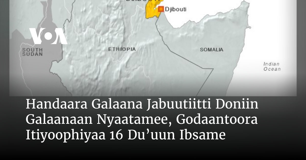 Handaara Galaana Jabuutiitti Doniin Galaanaan Nyaatamee, Godaantoora ...