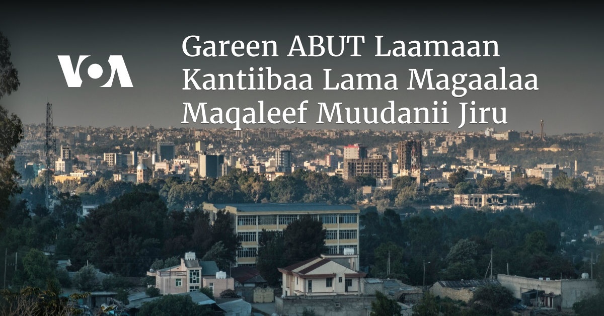 Gareen ABUT Lamaan Kantiibaa Lama Magaalaa Maqaleef Muudanii Jiru