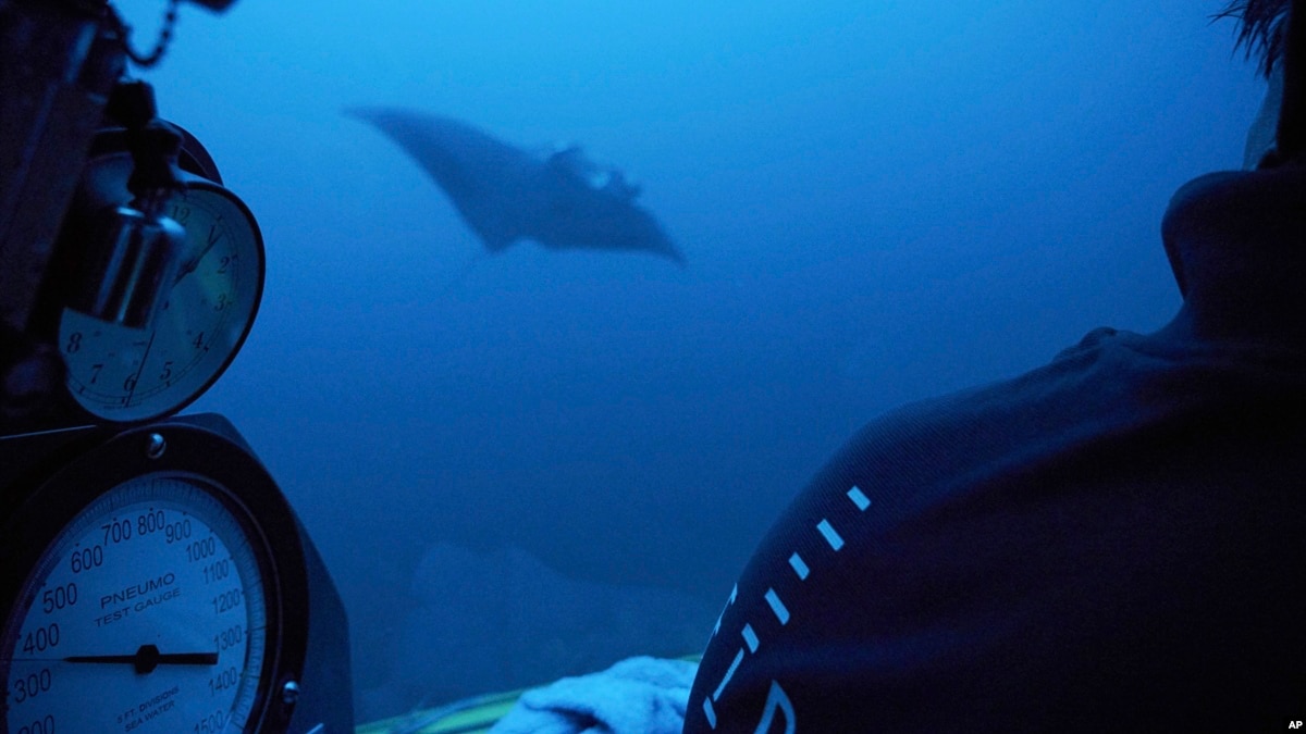 Scientists Aim to Explore Area of Life 1000 Meter Under the Sea