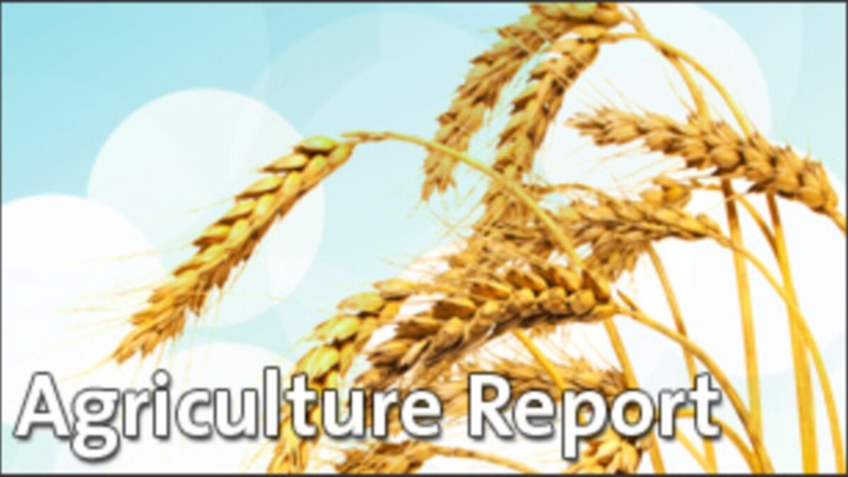 Agriculture Report