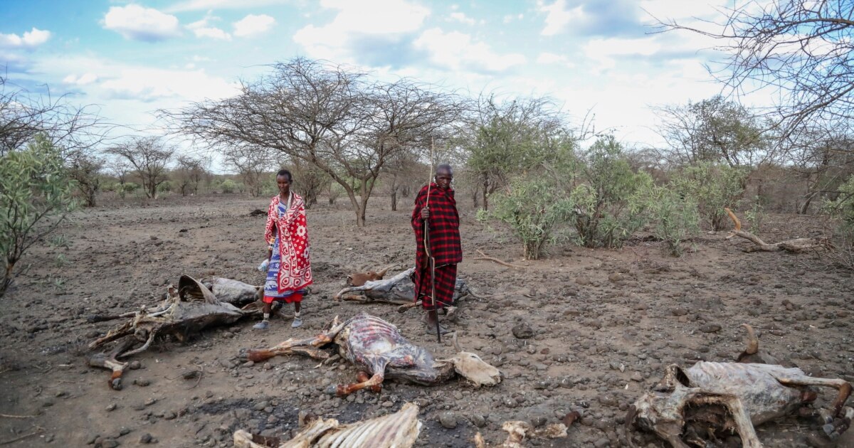 Wahisani waahidi dola bilioni 2.4 kusaidia pembe ya Afrika