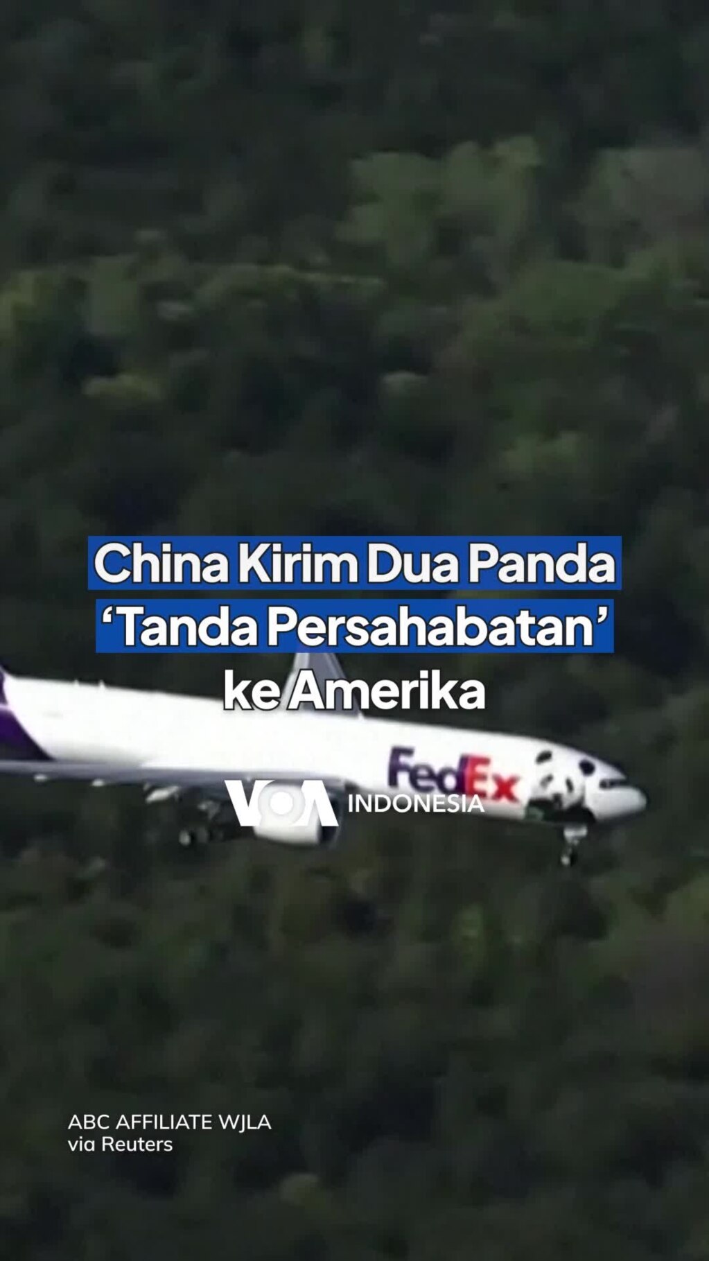China Kirim Dua Panda 'Tanda Persahabatan' ke Amerika