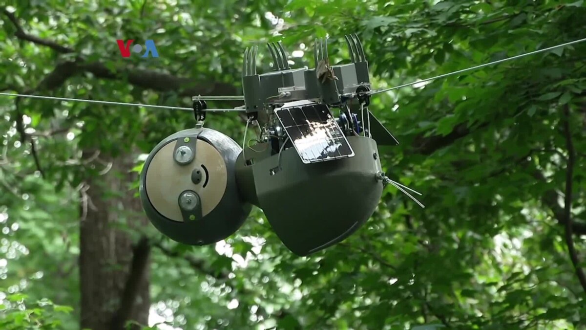 Slothbot, Robot Kungkang Yang Membantu Konservasi