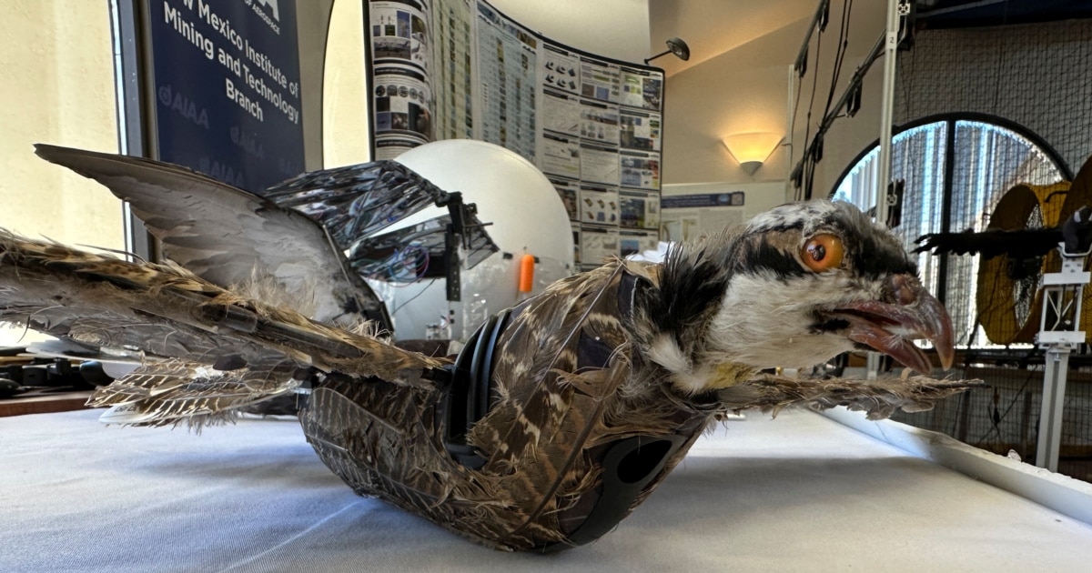Researchers Study with the Aid of Dead Birds