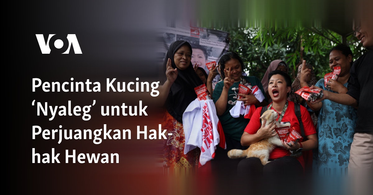 Pencinta Kucing ‘Nyaleg’ untuk Perjuangkan Hak-hak Hewan