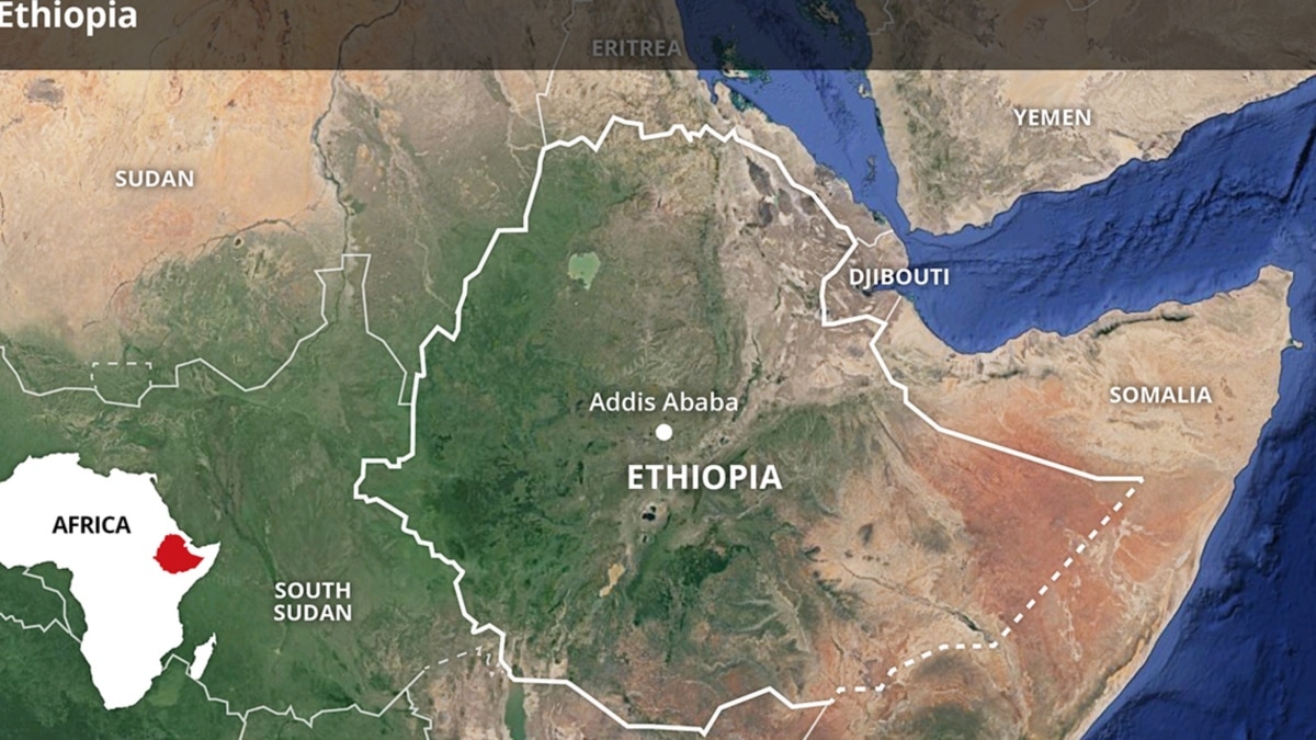 ለጥያቄዎ መልስ