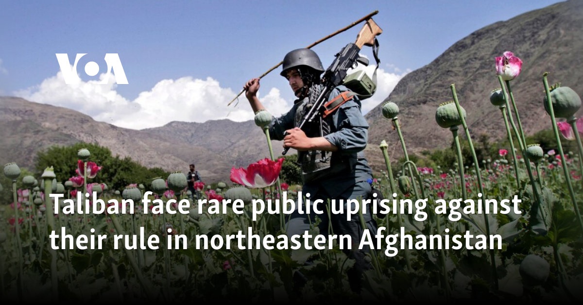 Taliban face rare public uprising against their rule in northeastern ...