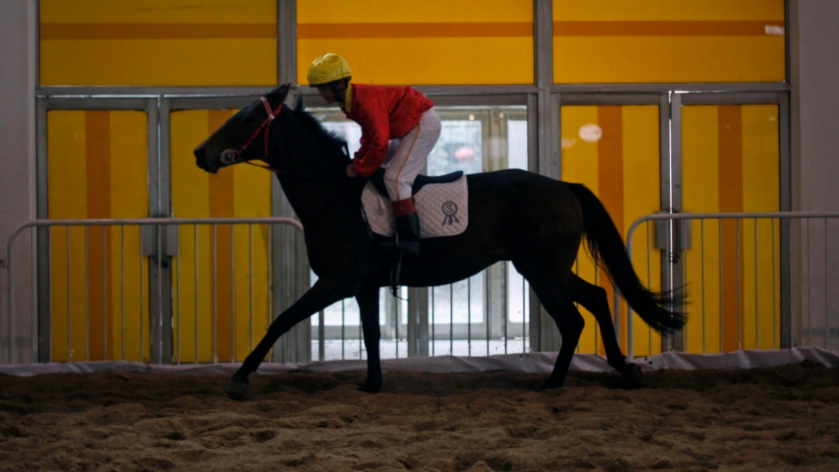 Interest in Horse Riding Grows in China
