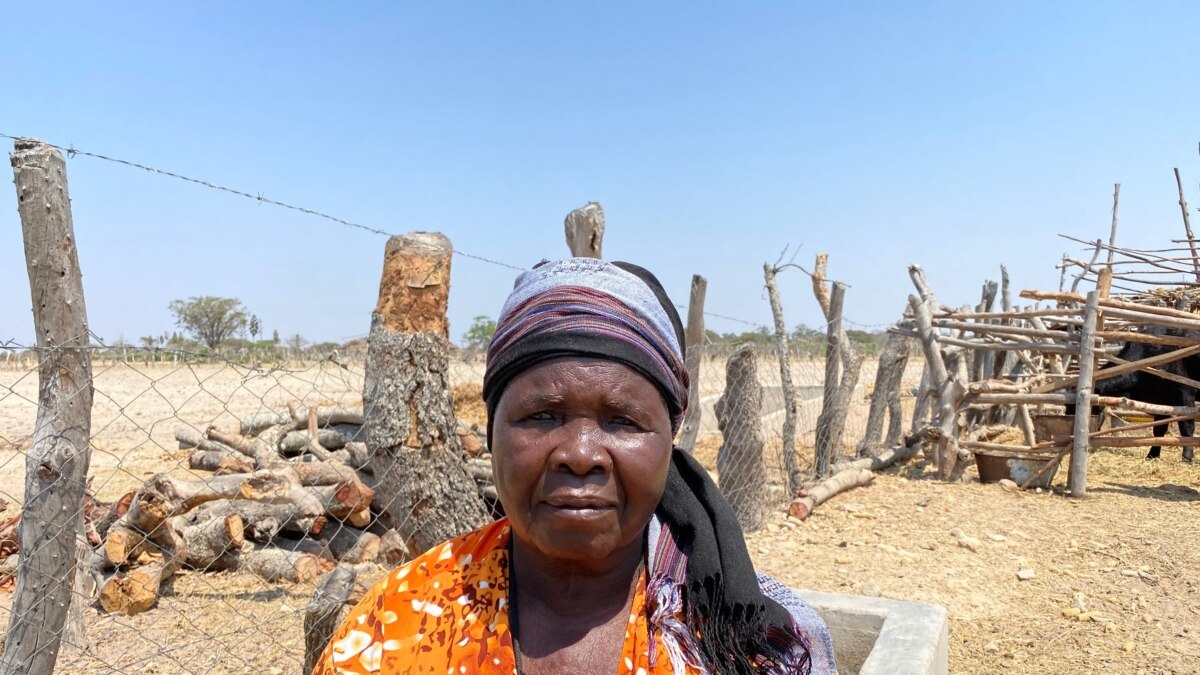 US-Backed Zimbabwe Charity Working to Help Small Farmers