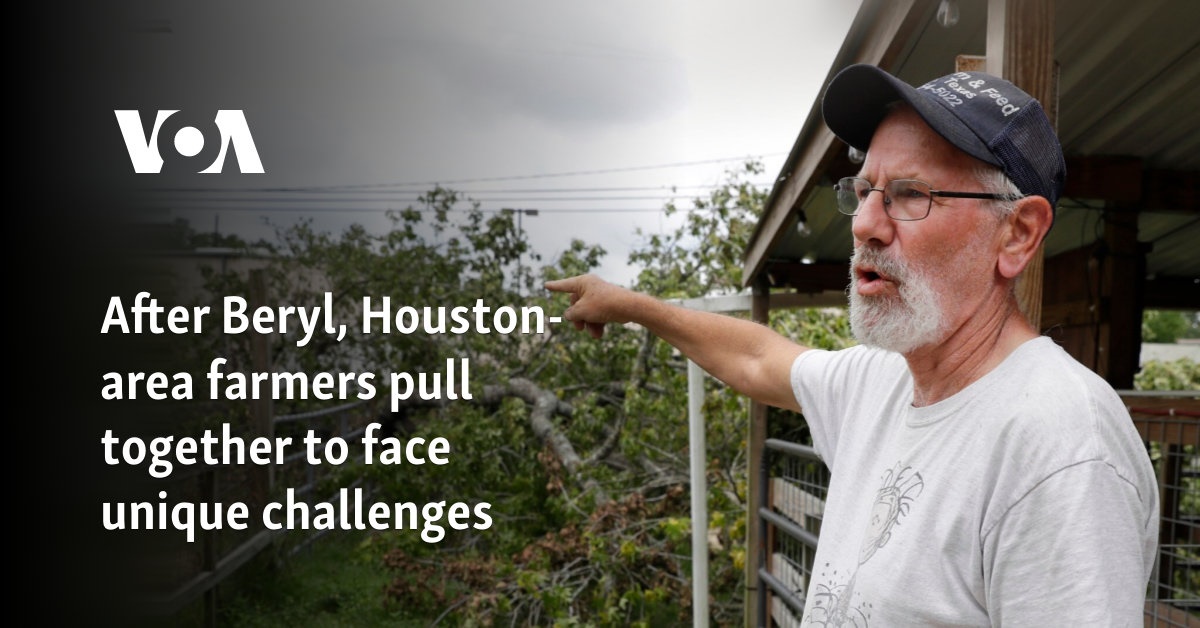 After Beryl, Houston-area farmers pull together to face unique challenges