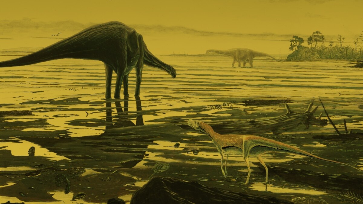 Jejak-jejak Dinosaurus Langka Diselamatkan di Australia