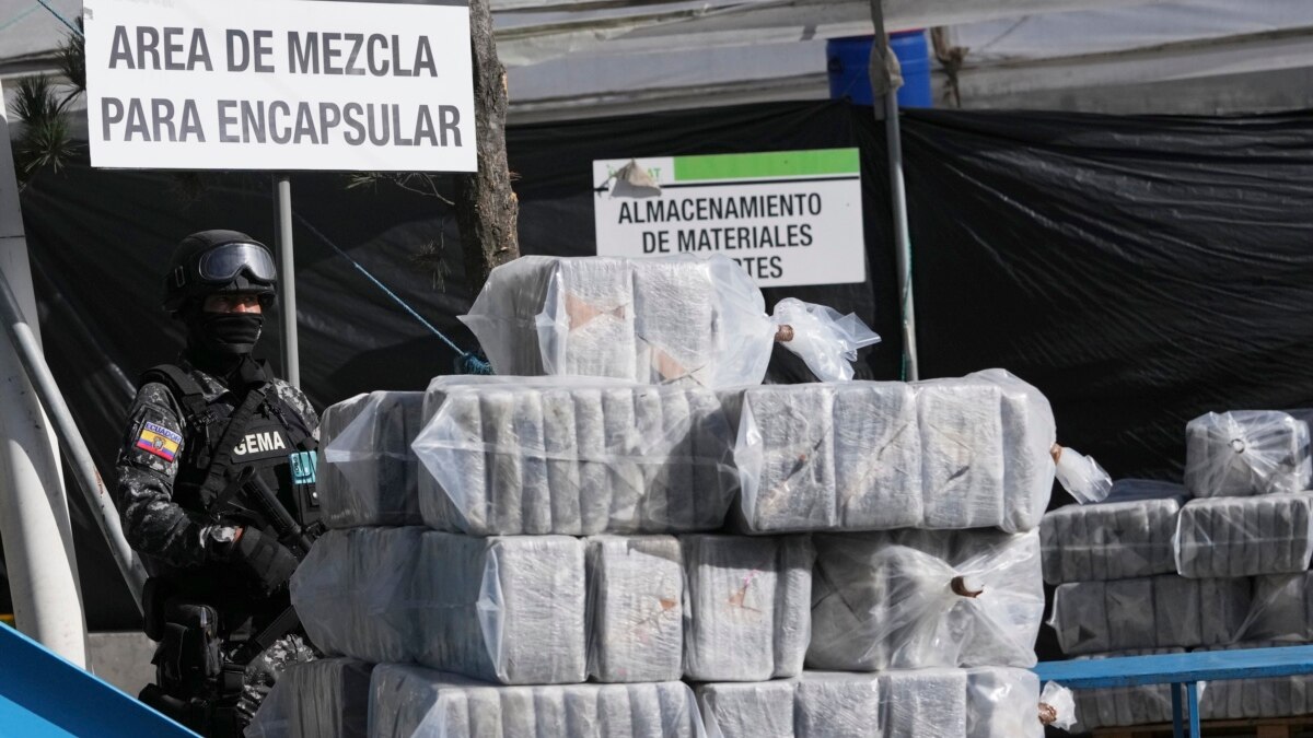 Ecuador: operación antidrogas con Gambia permite decomisar 3,95 ...
