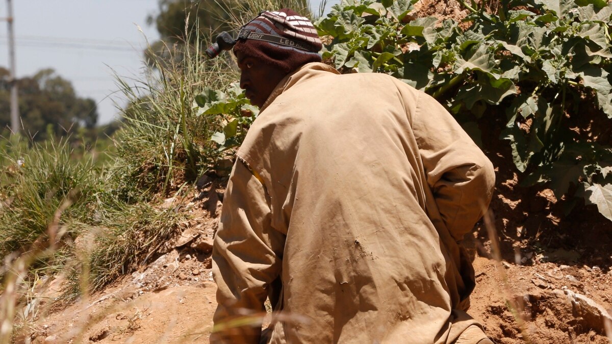 Illegal Miners Refuse Rescue