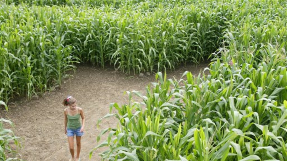 Corn Maze Craze; Skydive and SpaceX; Songs From Above