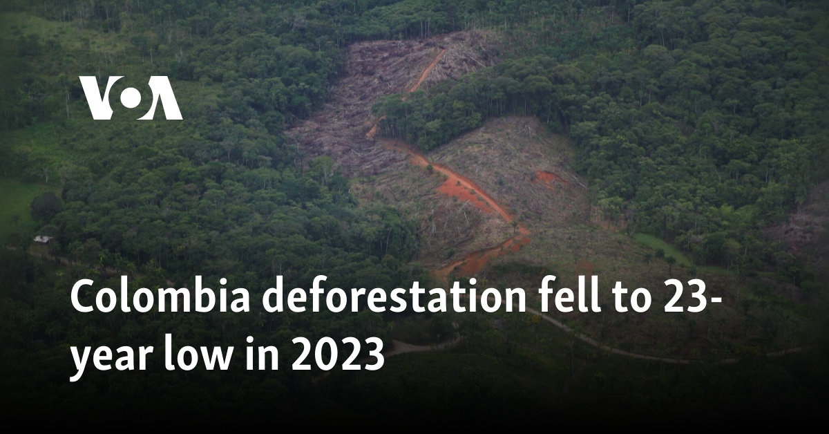 Colombia deforestation fell to 23-year low in 2023