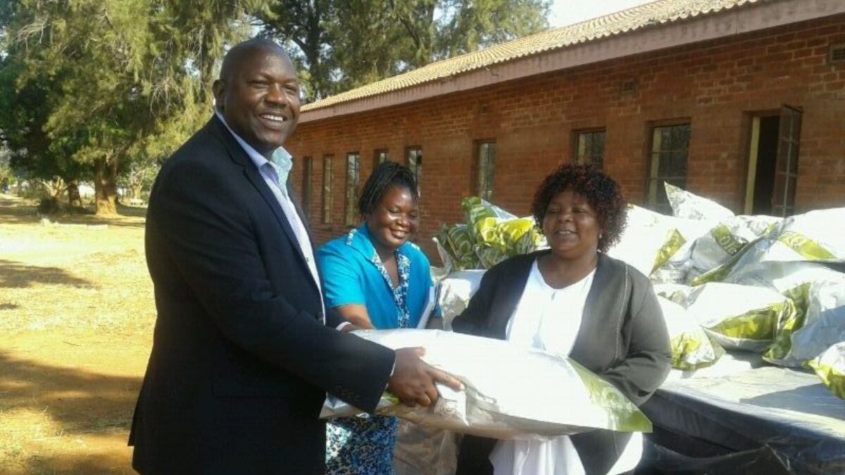 Zimbabwe Travellers Set to Pay More Duty for Selected Imports