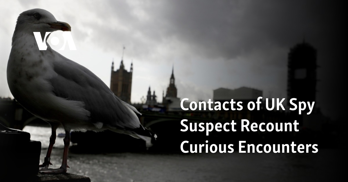 Contacts of UK Spy Suspect Recount Curious Encounters