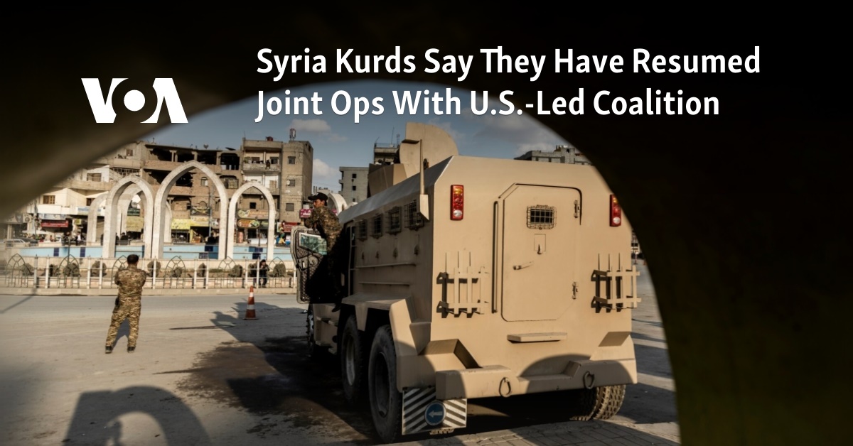 Syria Kurds Say They Have Resumed Joint Ops With US-Led Coalition