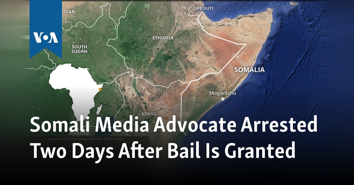 Somali Media Advocate Arrested Two Days After Bail Is Granted