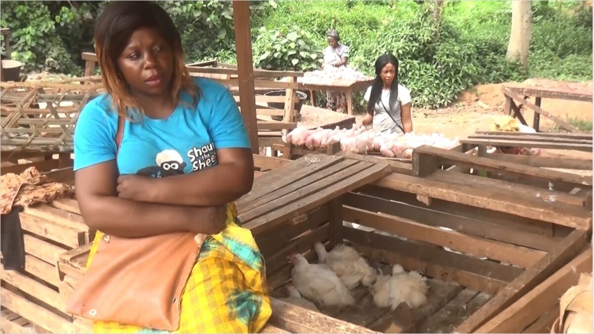 Cameroon Poultry Farmers Urge Europe to Ease Trade Restrictions