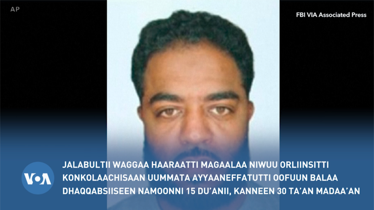 Magaalaa Niwuu Orliinsitti Konkolaachisaan Tokko Namoota Jalabultii ...