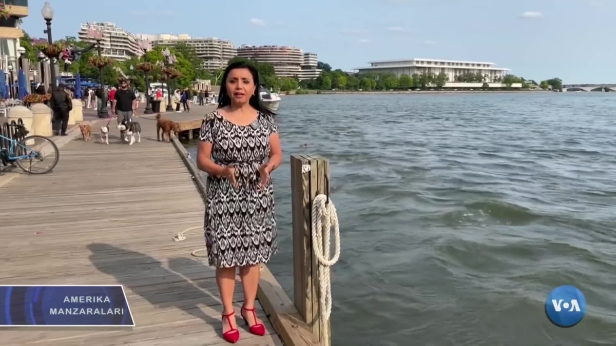 Amerika Manzaralari: Xitoy, Meksika chegarasi, O'zbekiston