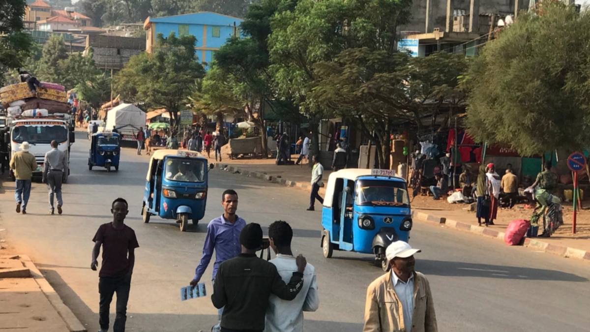 WBOn Ajeechaan Wallaga Lixaa Keessatti Raawwatame Akka Qaamaa Wallaba ...