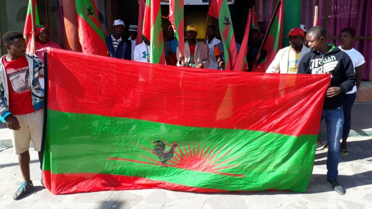 Lukamba "Gato" não responde aos apelos que diz ter recebido para ...