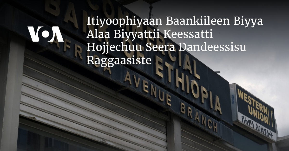 Itiyoophiyaan Baankiileen Biyya Alaa Biyyattii Keessatti Hojjechuu ...