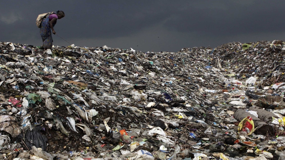 UN: Current Management of Environment Unsustainable