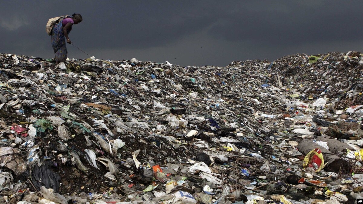 UN: Current Management of Environment Unsustainable