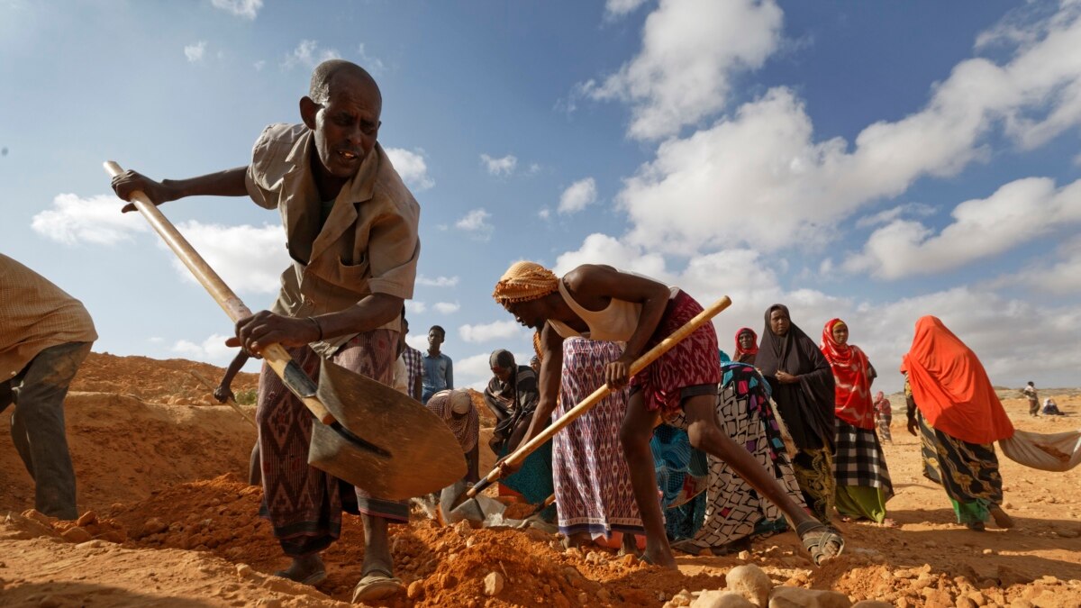 11 qof oo u geeriyooday abaaro ka jira Jubada Dhexe