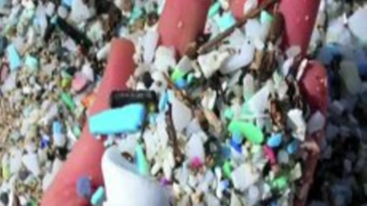 Plastic Trash in Oceans Enters Marine Food Chain
