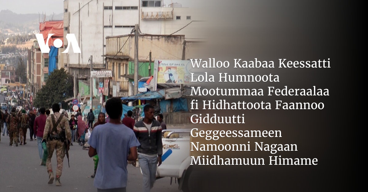 Walloo Kaabaa Keessatti Lola Humnoota Mootummaa Federaalaa fi ...